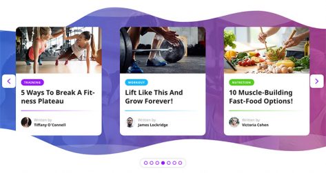 The 8 Best Quality WordPress Themes with Sliders