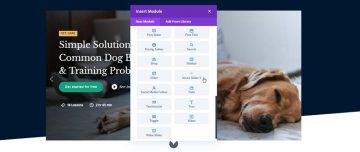 The Ultimate Guide to Create a Divi Slider