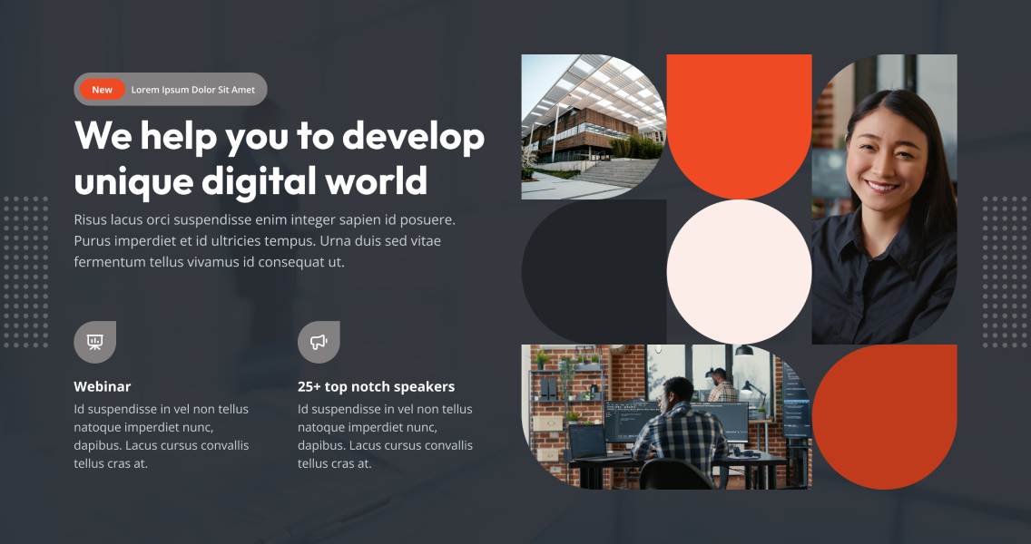 Nala — Smart Slider 3 — WordPress Plugin
