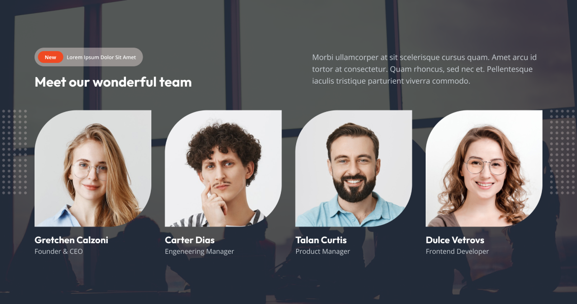 Nala — Smart Slider 3 — WordPress Plugin